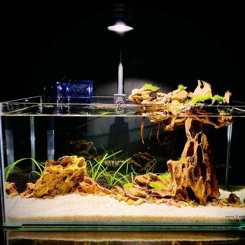 15" DRAGON CLIFF AQUARIUM FULL SET | 15"x7"x7" NORMAL GLASS - TikTok ...