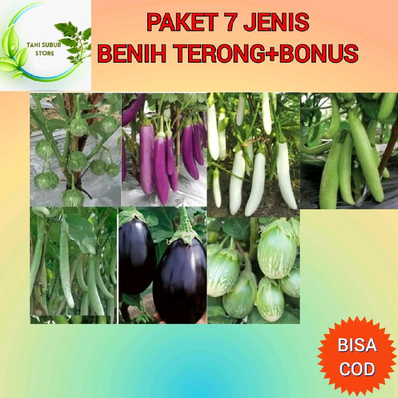 PAKET 7 JENIS BENIH TERONG-TERONGAN + BONUS - Shop | Tokopedia