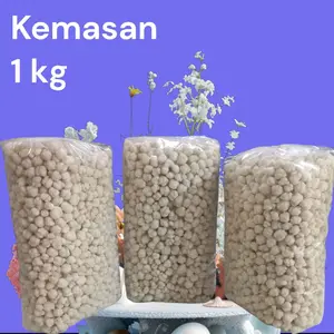 tiktak kencur/pilus kencur/sukro kencur. Food kemasan 1KG Penyedap ...