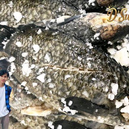 WADI PAPUYU (Ikan Betok Fermentasi Gurih Asam Ringan) khas kalimantan ...