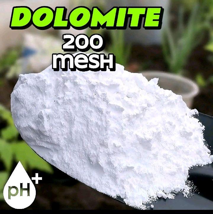 DOLOMITE GML 200MESH 3kg (Kapur Pertaniaan )Lebih Halus & Senang ...