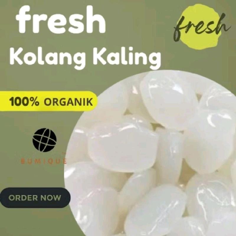 1kg kolang kaling/ cangkaleng segar geprek - Shop | Tokopedia