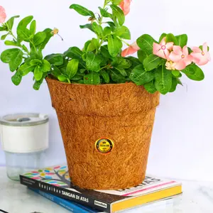 FLOWER POT BULAT KECIL CRAFTING POT ESTETIK 10 CM - Shop | Tokopedia