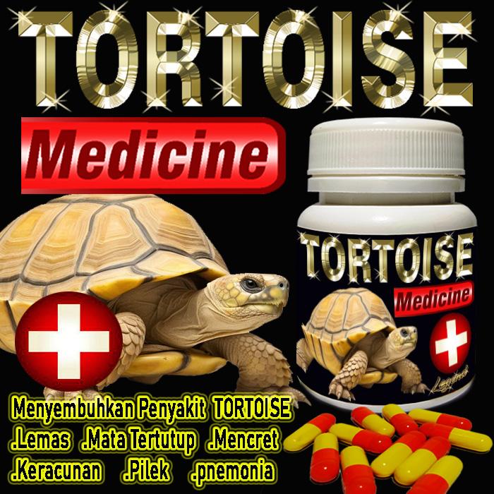 TORTOISE MEDICINE OBAT KURA SULCATA LEMAS TIDAK NAFSU MAKAN MATA - Shop ...