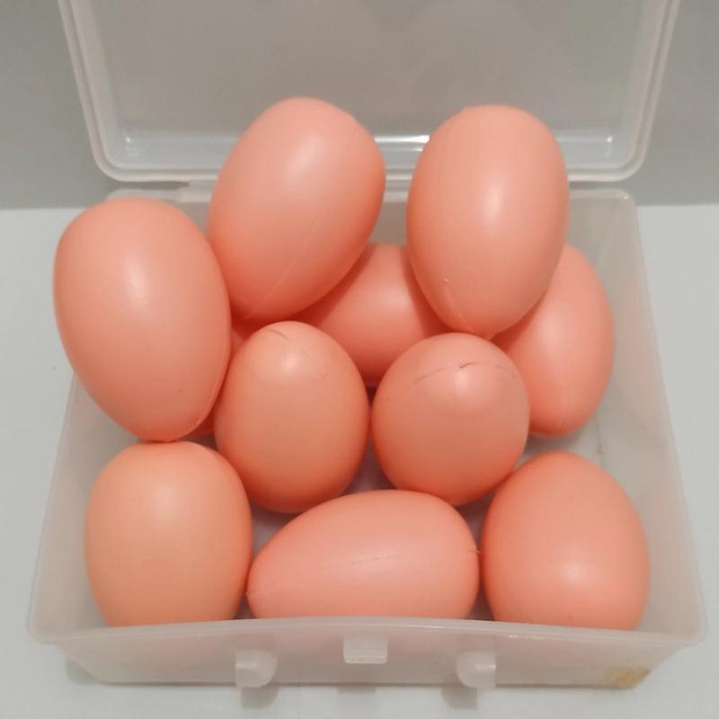 Mainan Anak Telor Ayam Plastik Mainan Telur Ayam - Shop | Tokopedia