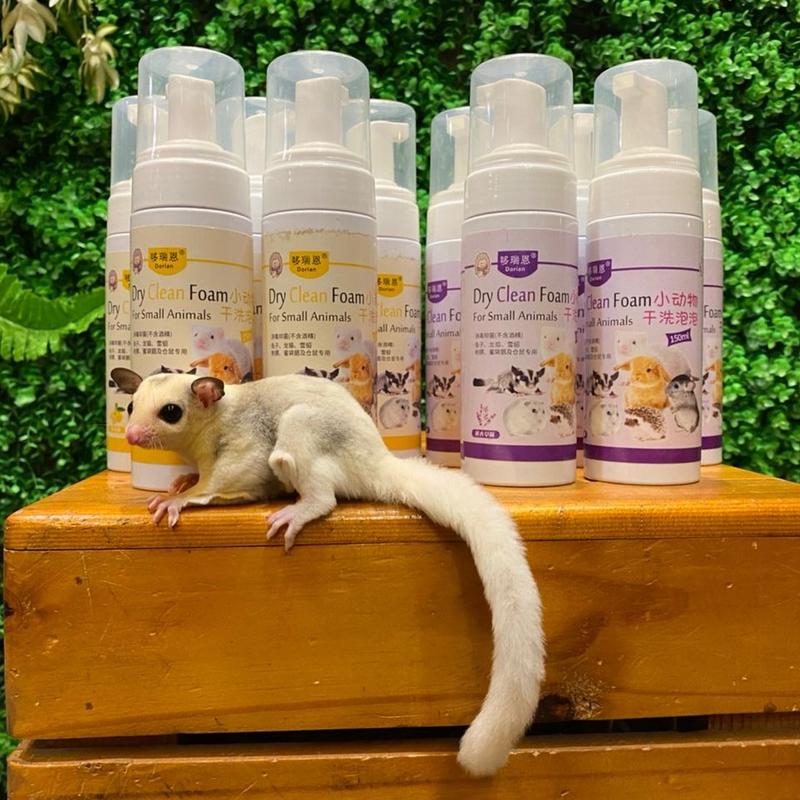 Small animal shampoo *foam type* (sugar glider) (hamster) (hedgehog ...