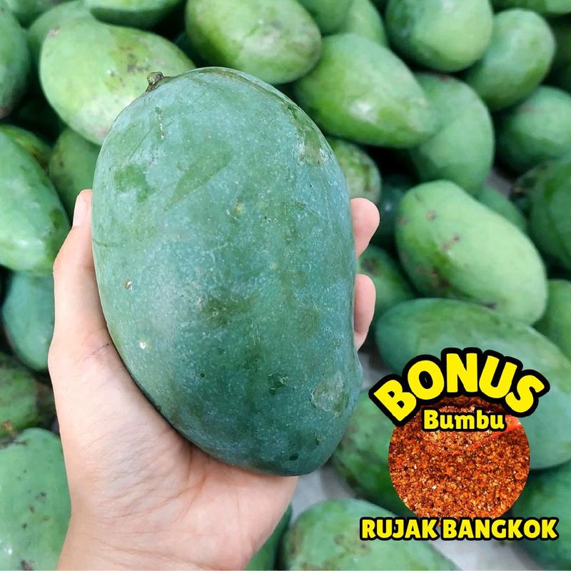 PAKET DUO MANGO Mangga Madu Gadung Harum Manis Manalagi Tua Kemrampo ...