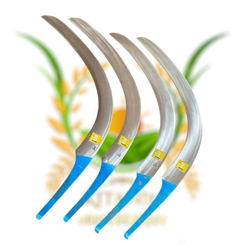 Alat panen sawit super tajam - Shop | Tokopedia