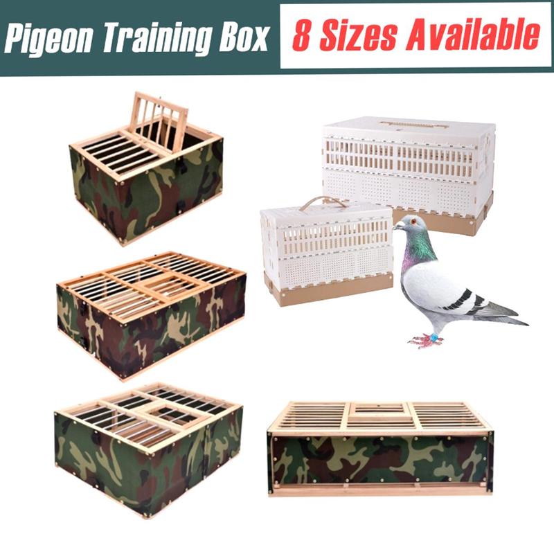 Plastic Folding Pigeon Cage kalapati Training box for Pigeon - TikTok ...