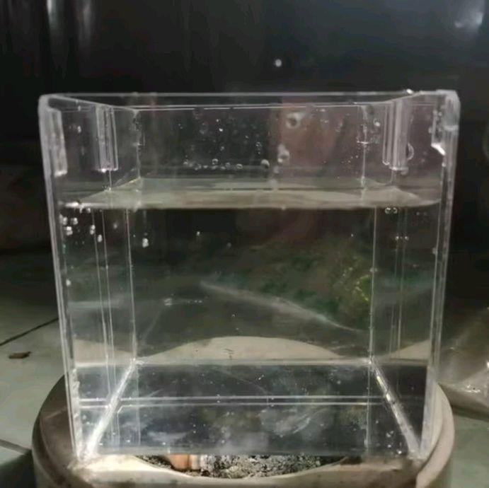 Soliter Akrilik 10x10x10 Sekat Mati / Soliter Host Live / Soliter ...