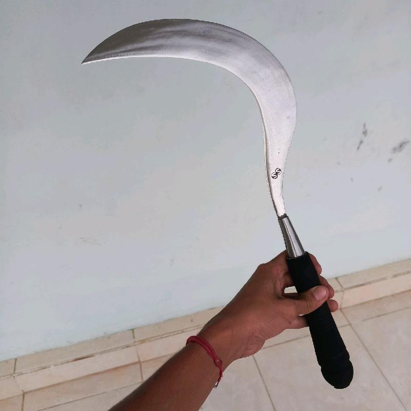 arit rumput dan padi cap ss lebar 4-5cm panjang 50 tebak 2-3mm gagang ...