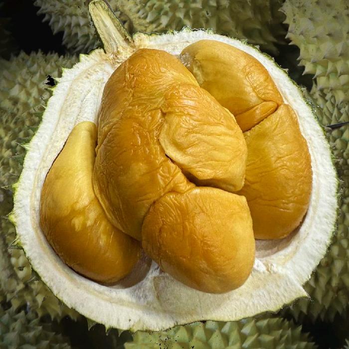 Jual Durian Tembaga Super asli matang pohon Fresh utuh dan bulat ...