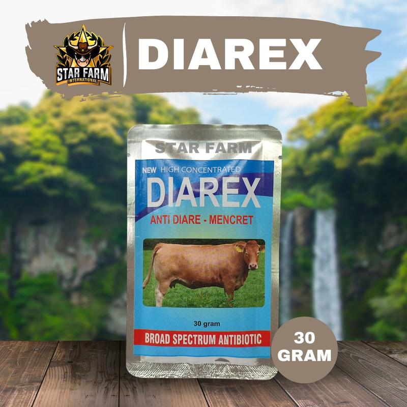 Diarex Obat Diare Mencret Sapi Kerbau - Star Farm - Shop | Tokopedia