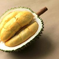 Jual Durian Tembaga Super asli matang pohon Fresh utuh dan bulat ...