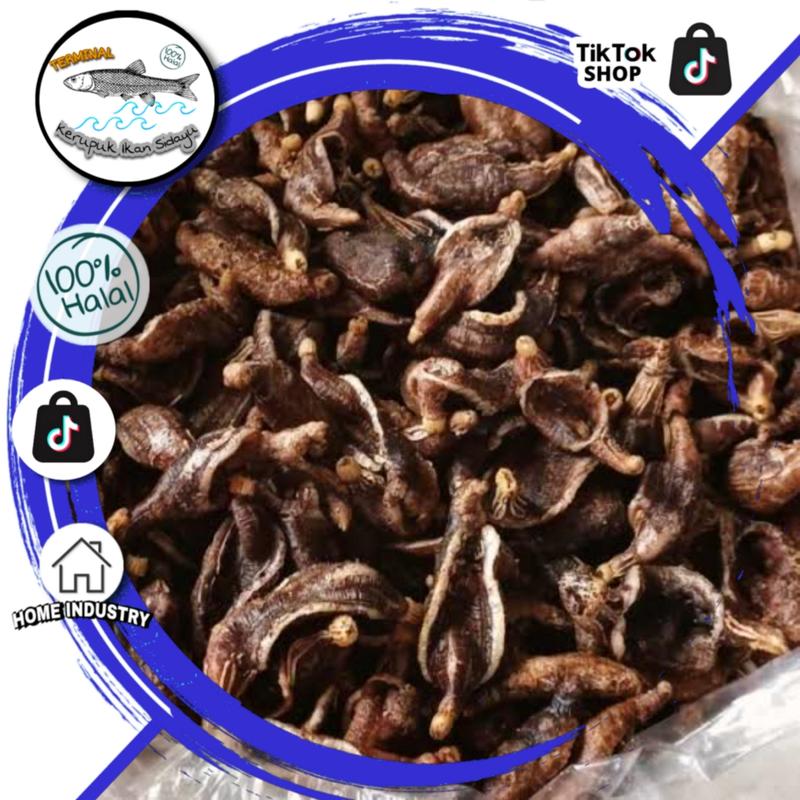 Kerupuk Teripang Terung 250gr Goreng | Khas Sidayu Gresik | - Shop ...