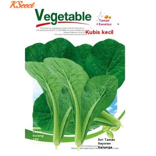 Benih Kubis Empat Musim Tahan Haba dan Cepat Tumbuh untuk Garden ...