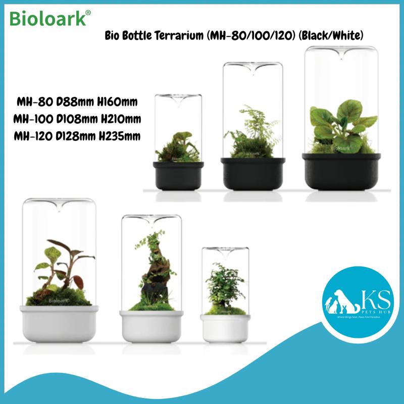 BIOLOARK Bio Bottle Terrarium (MH-80/100/120) (Black/White) - TikTok ...