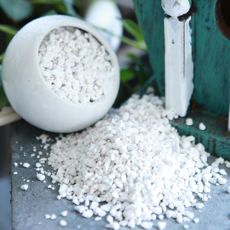 500g Perlite (3-6mm) For Cactus & Succulents (Natural Expanded - TikTok ...