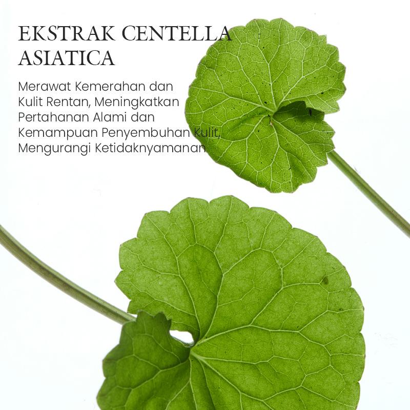 KORMESIC Pure Centella Cream 100g - Special IND Formula for ...