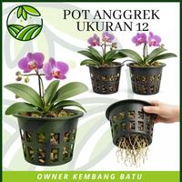 Jual NETPOT 12cm Pot Tanaman Anggrek Vanda Dendro Bulan Drainase Bagus ...