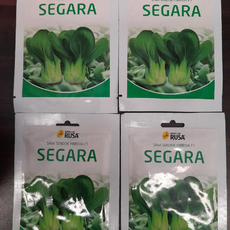BENIH POKCOY/ SAWI DAGING 10 GRAM MERK SEGARA - Shop | Tokopedia
