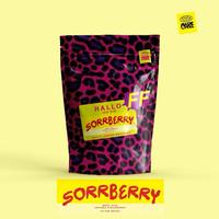 Jual SORRBERRY Mekarmanik Strawberry Infused Filter Roast Arabica ...