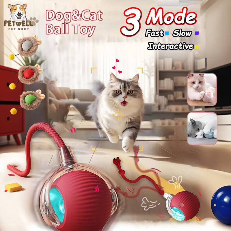 PETWELL Interactive Cat Toys Ball Auto Electric Rolling Ball - TikTok ...