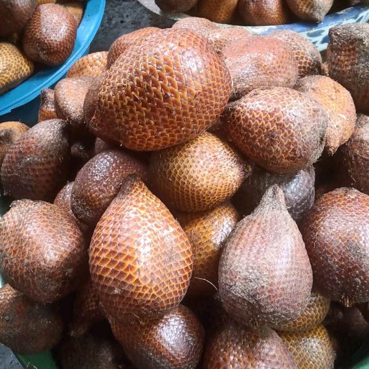 Salak kersikan manis salak pasuruan murah salak pondoh - Shop | Tokopedia