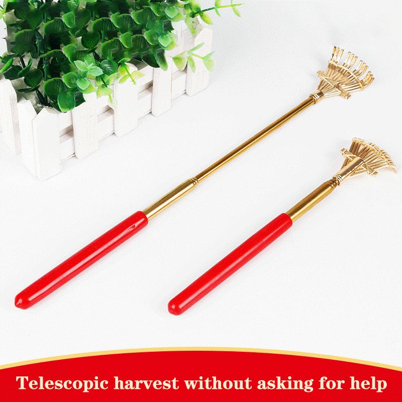 1Pcs Portable Extendable Telescopic Rake Claw Metal Back Scratchers ...