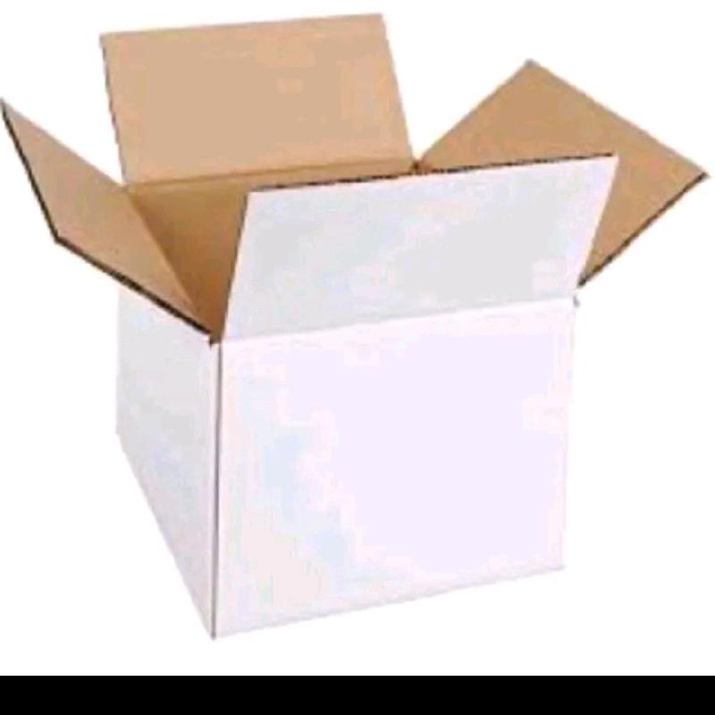 Kardus paket 1kg isi Bawang merah 500gram,bawang putih 500gram - Shop ...