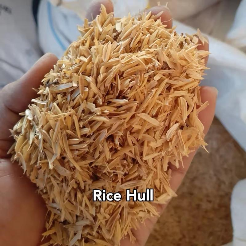 FRESH RICE HULL / IPA 1 KILO FOR PLANTS 500g - TikTok Shop Philippines