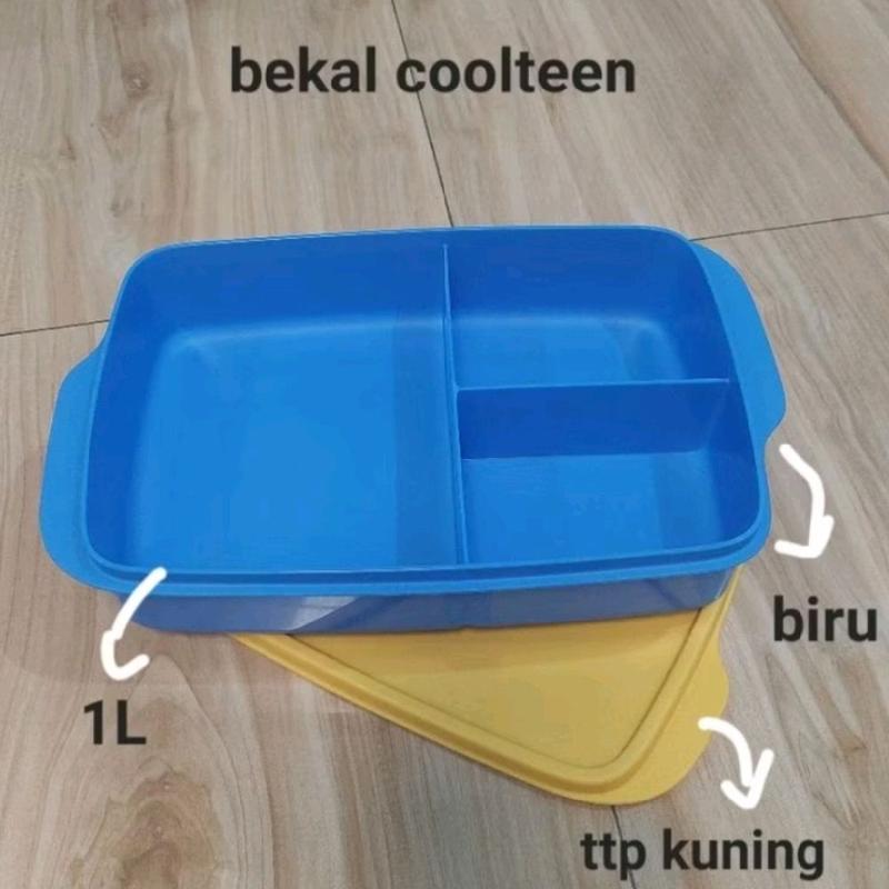 Divided Lunch Box ECER - tupperware - Shop | Tokopedia