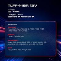 Promo Accu TDR Lithium Iron Phosphate (LiFePO4) Battery TLFP-20L Aki ...