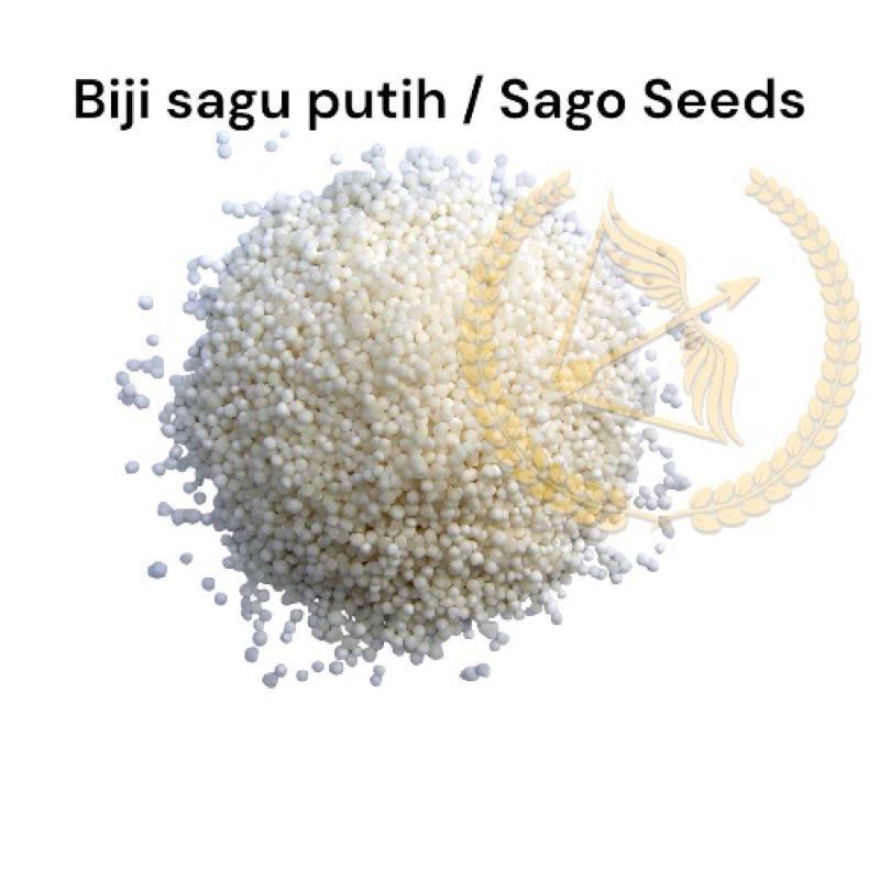 1kg Bigi Sagu Halus putih / Sago seed White - TikTok Shop Malaysia