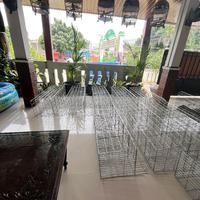 Jual Paketan Ayam + Kandang Full set Kapasitas 16 ekor - Kab. Bogor ...