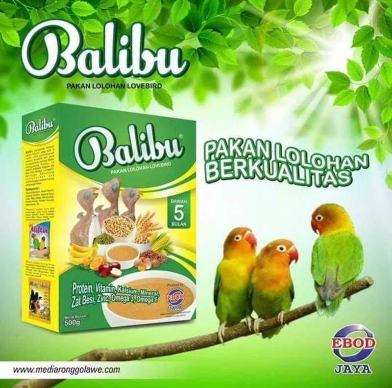 Bubur Lolohan Balibu Ebod Jaya Netto 500gram untuk Anak Burung Love ...