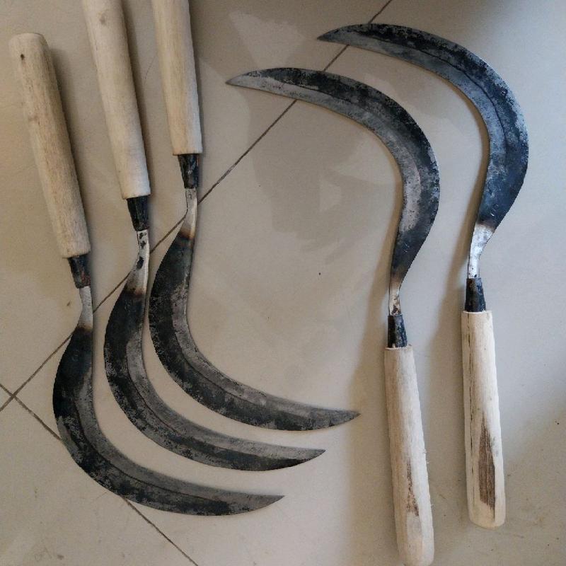 Sabit Padi Tanpa Asah Arit Sabit Ani Ani + Sabit Padu Madura - Shop ...