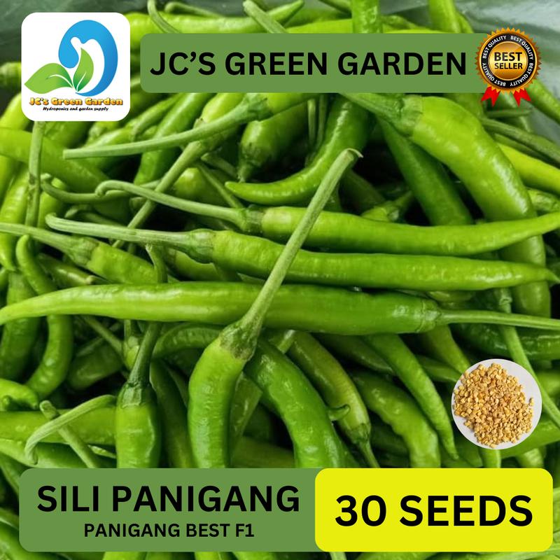 SILI PANIGANG - PANIGANG BEST F1 - FOR PLANTING/HYBRID/HIGH YIELDING ...