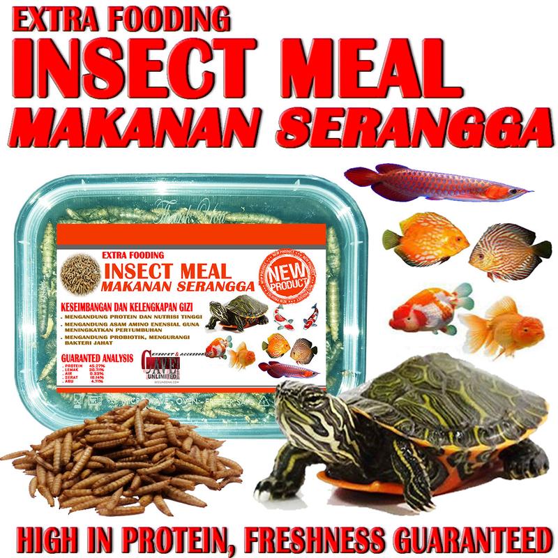 40GR INSECT MEAL TURTLES FOOD MAKANAN KURA-KURA AIR BRAZIL RES - Shop ...
