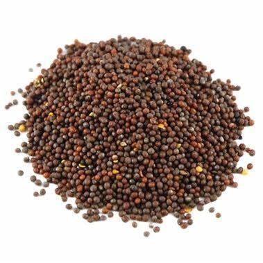 Mustard Seed Biji sawi 100G/ 250G/ 500G/ 1KG (KADUGU) - TikTok Shop ...