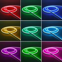 Jual Zigbee 3.0 Neon RGB LED Strip Light USB 5V Tape Ribbon Dimmable ...