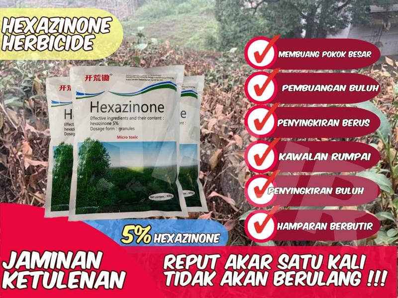 RACUN TABUR RAMPUT Big tree's roots rot in 3 days Racun poko - TikTok ...