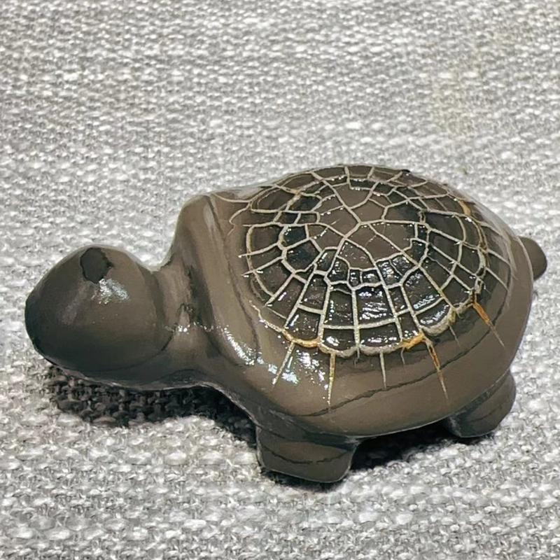 Natural tortoise shell stone Feng Shui stone mineral ornaments - TikTok ...