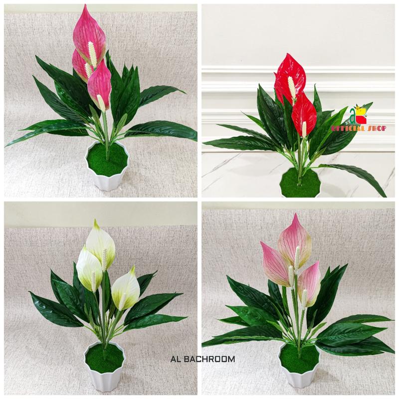 TANAMAN BUNGA HIAS PLASTIK PEACH LILY SPATUFILLUM DEKORASI RUANG - Shop ...