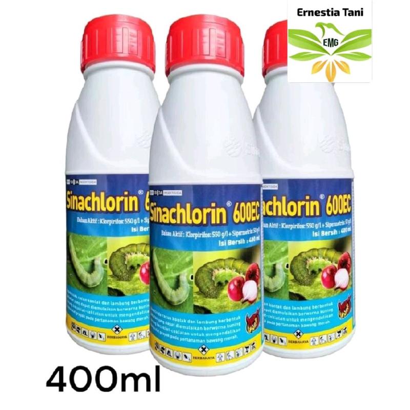 Insektisida SINACHLORIN 600 EC 400 ML Pembasmi Hama Ulat Grayak - Shop ...