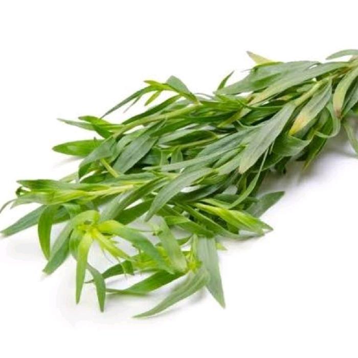 Jual Daun taragon Fresh / Daun Taragon Segar / Pack - Jakarta Barat ...