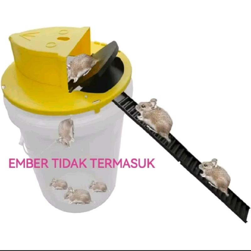mouse trap alat perangkap tikus tanpa ember - Shop | Tokopedia