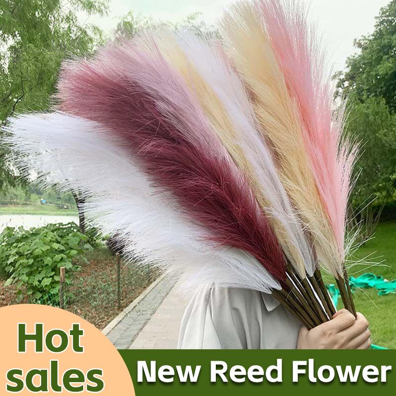 【Buy 1 Get 1 Free】55CM Artificial Fluffy Pampas Grass Bouque - TikTok ...