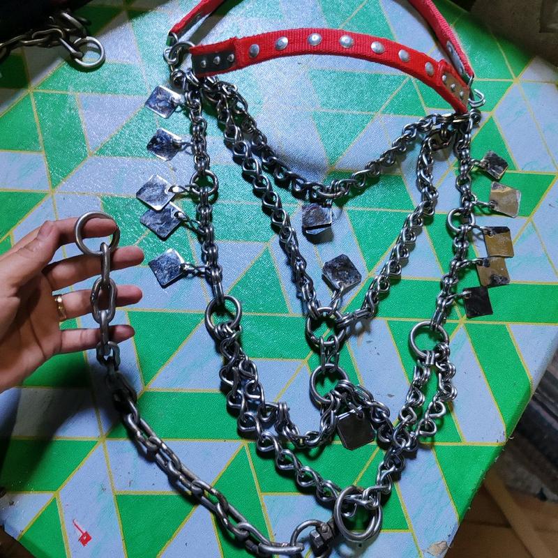 Stainless Horse Harness with pamuno Single SPL design All Chain ...