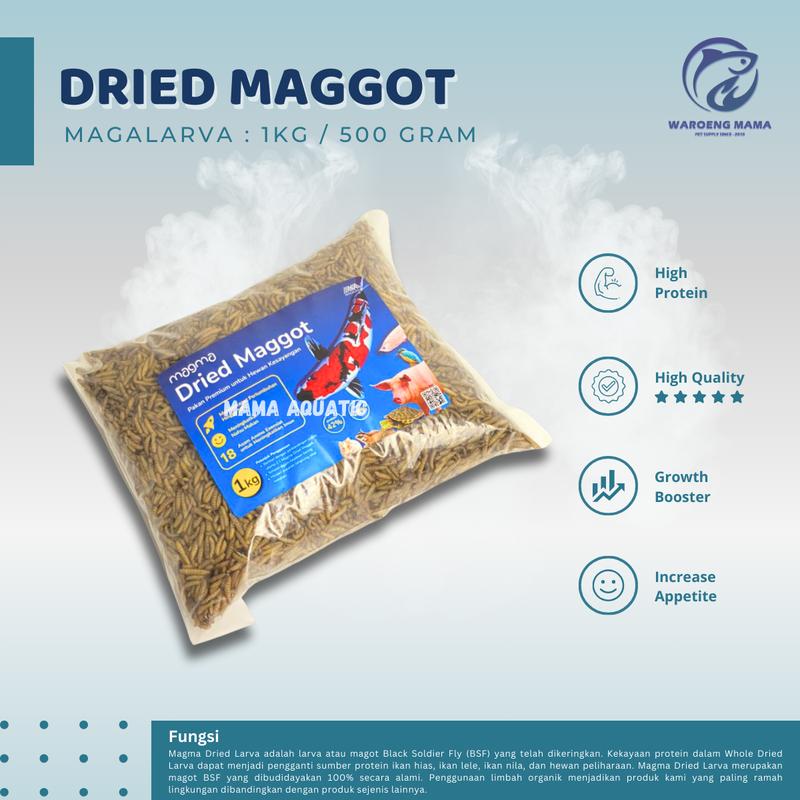 Maggot Kering 1 Kg Grade Premium Magma Dried Maggot Pakan Makanan ...